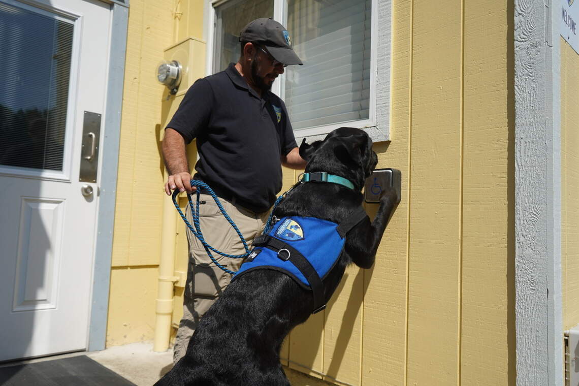 Organization trains service dogs in Bellingham WA | Bellingham Herald