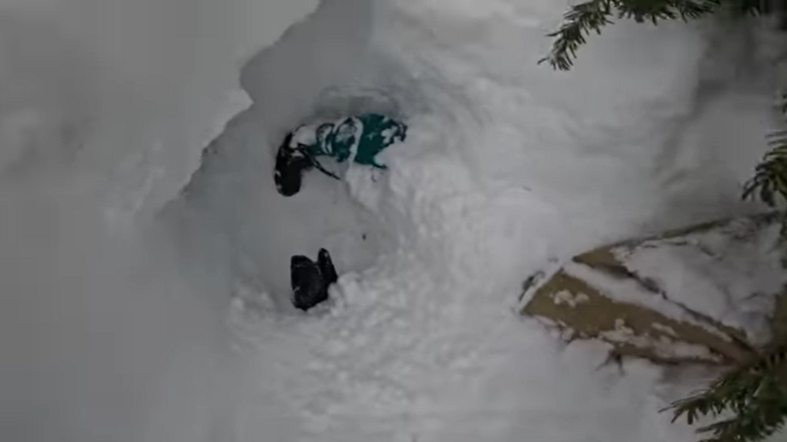 Watch as snowboarder trapped in deep tree well is rescued | Bellingham ...