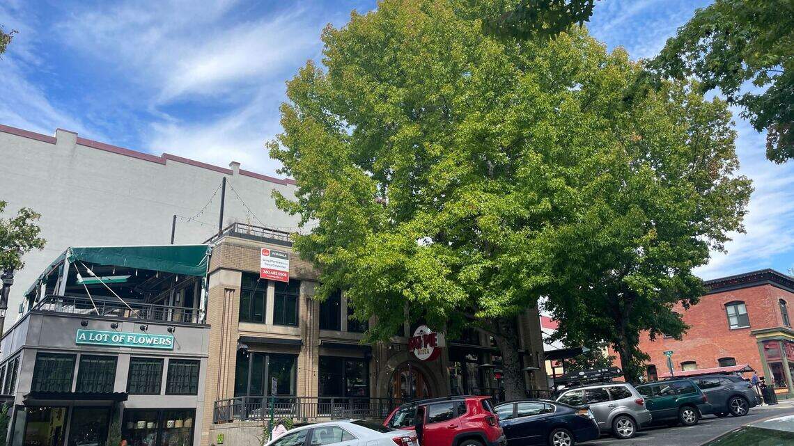 Bellingham restaurant and brewery openings, events | Bellingham Herald
