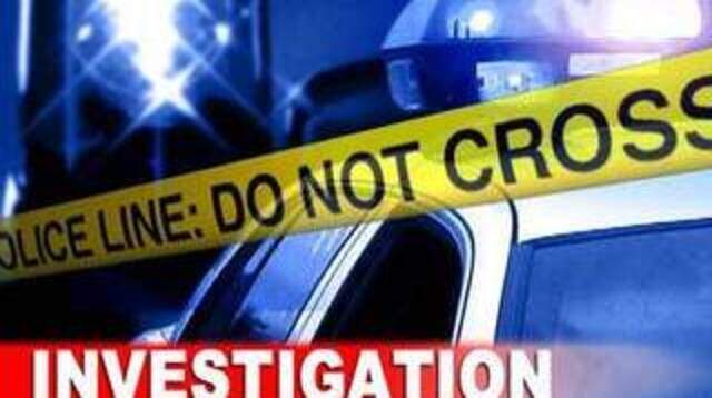 Woman arrested for alleged role in Bellingham gang fight | Bellingham ...