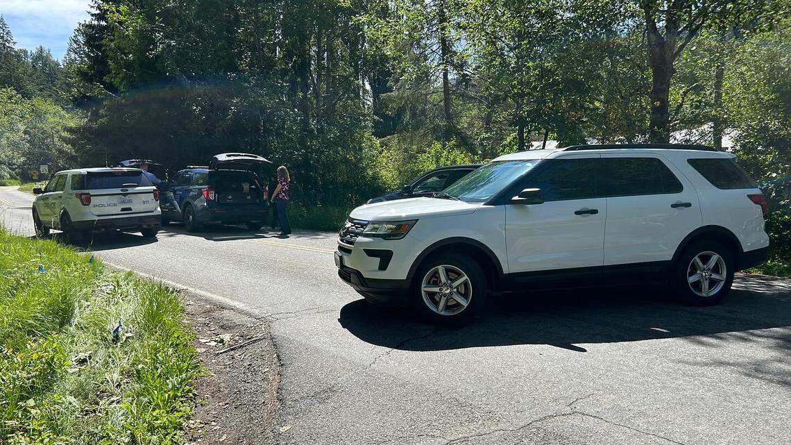 Court docs reveal details of Bellingham hammer homicide | Bellingham Herald