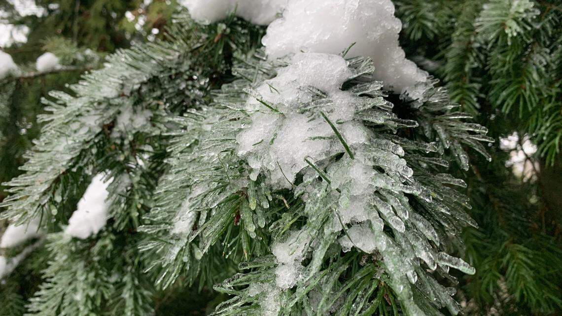 Bellingham services respond to damages caused by winter storm ...