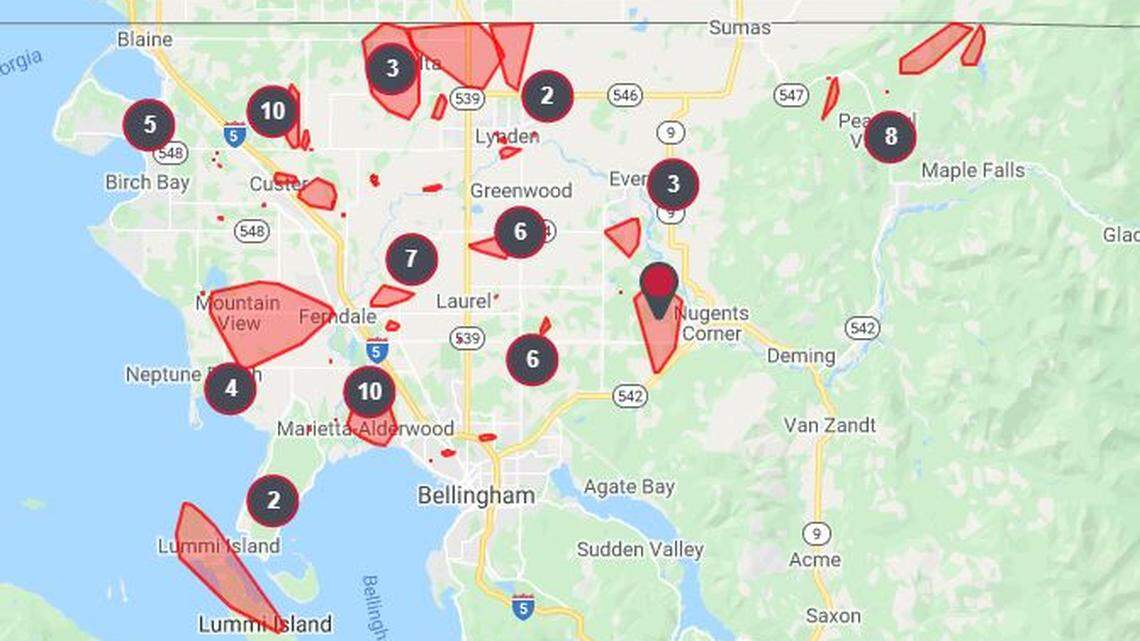 High winds knock out power to thousands of Whatcom residents | Bellingham Herald