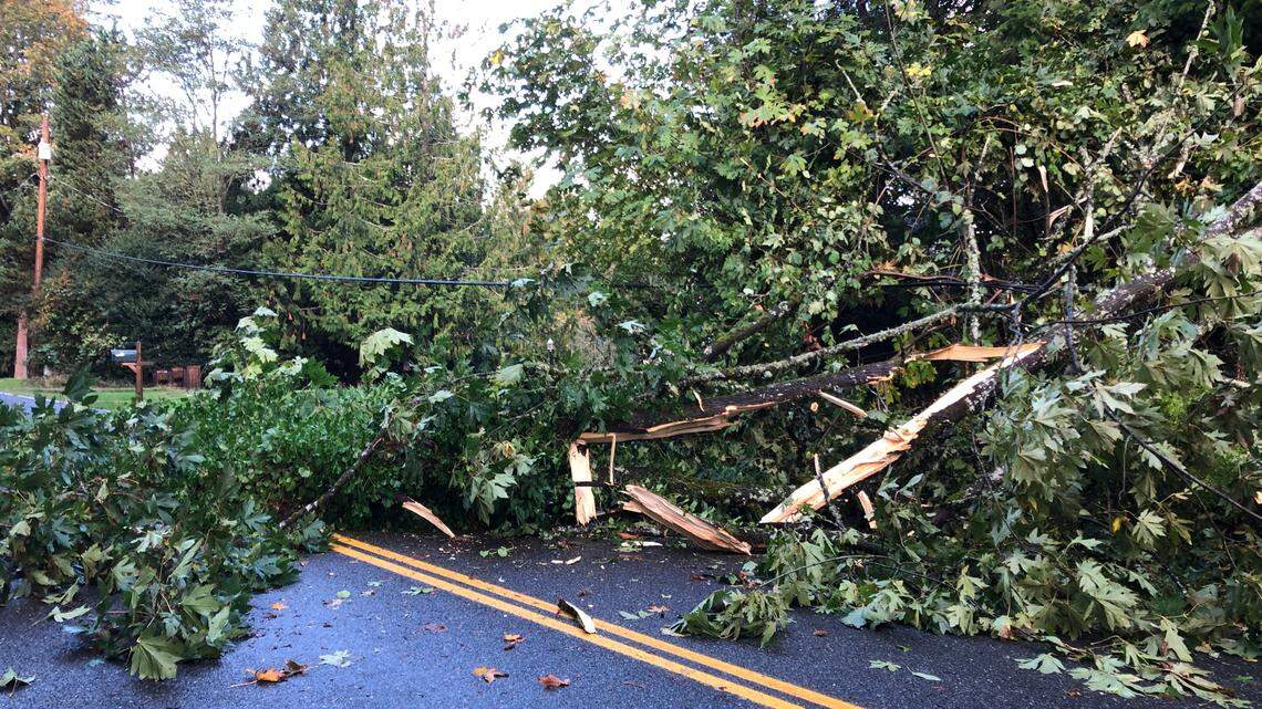 PSE reports storm-related power outages in Whatcom County | Bellingham ...