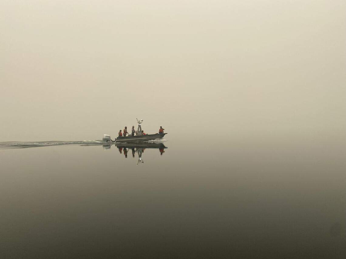Perry Fire grows to 1,557 acres near Ross Lake area | Bellingham Herald
