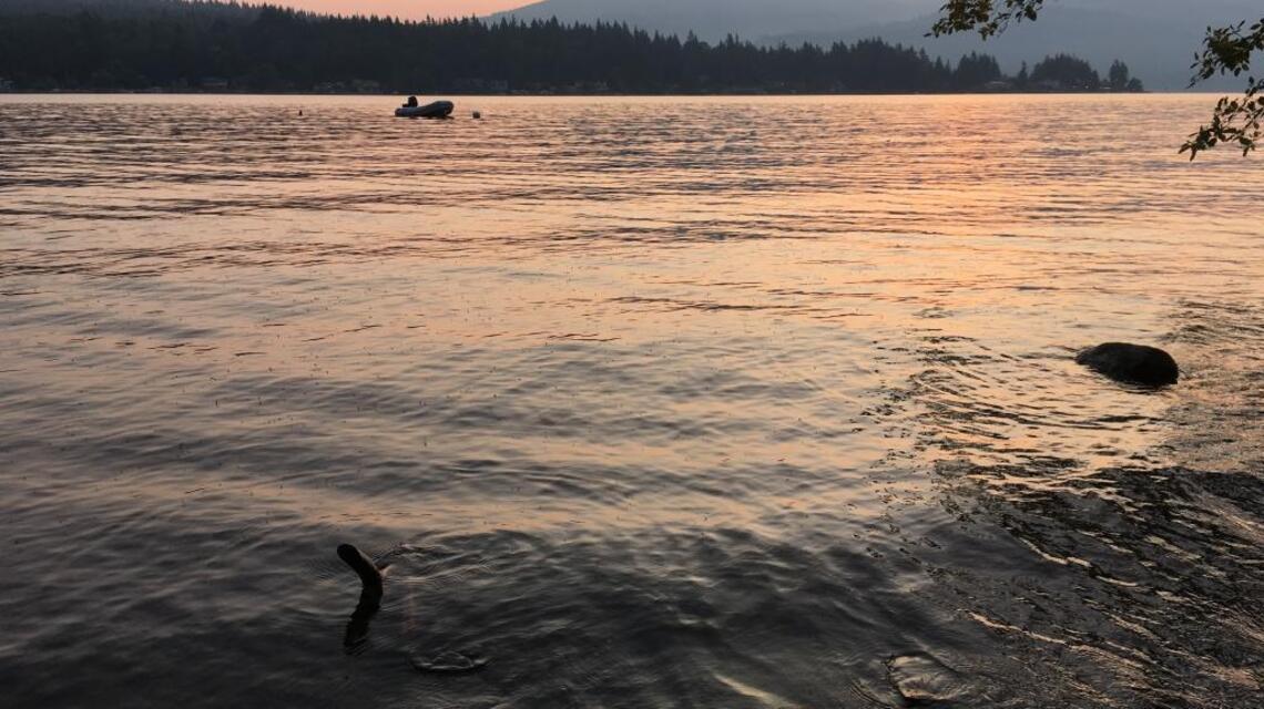 Wildfire smoke may drift briefly through Whatcom County | Bellingham Herald