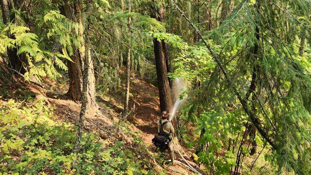 Crews gain control over Perry Fire in Whatcom County | Bellingham Herald
